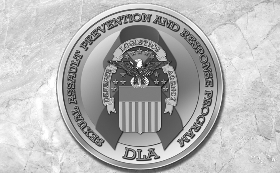 The Nation's Combat Logistics Support Agency